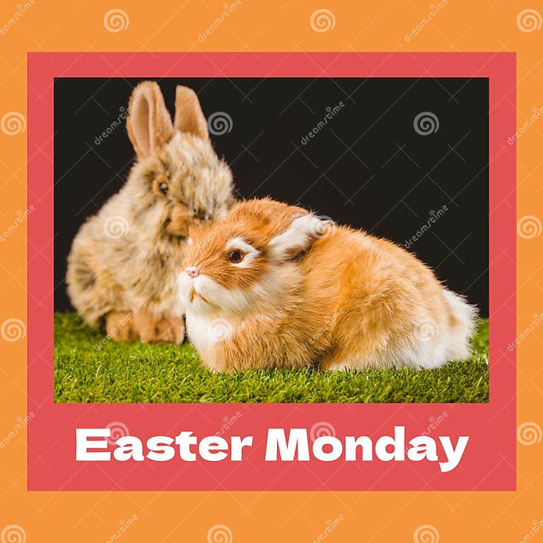 Image of Easter Monday Text Over Rabbits on Black Background Stock ...