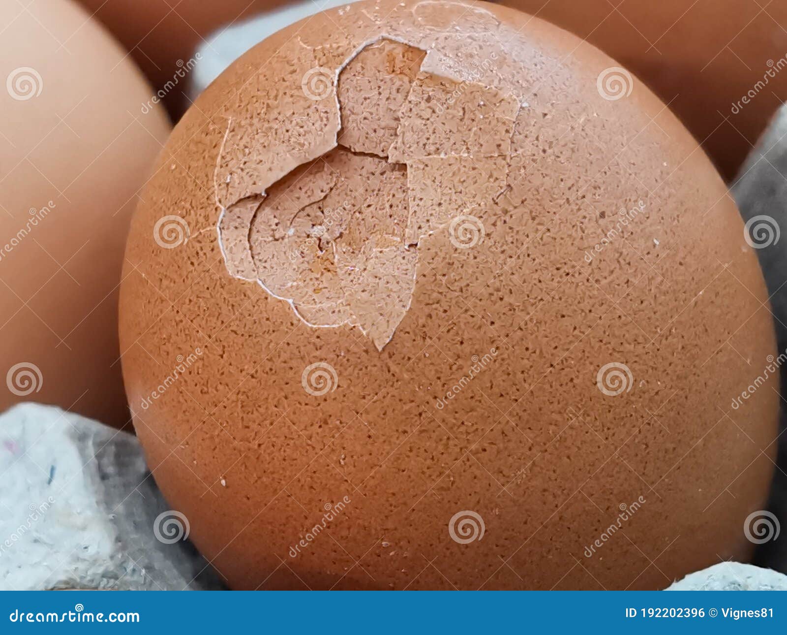 Cracked egg shell stock photo. Image of hard, load, food - 192202396