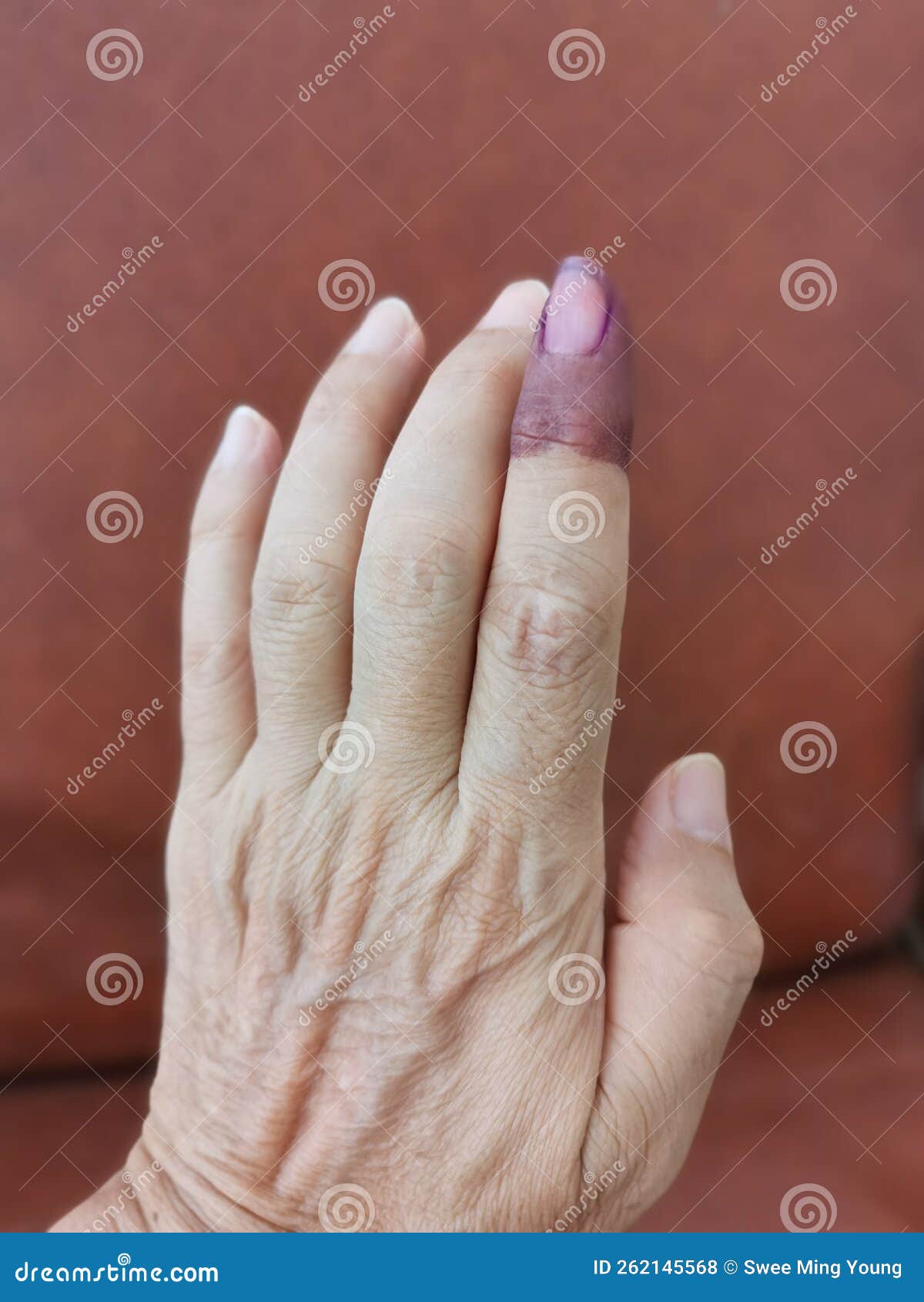 Electoral Purple Ink Stain Mark on the Index Finger Stock Photo - Image ...