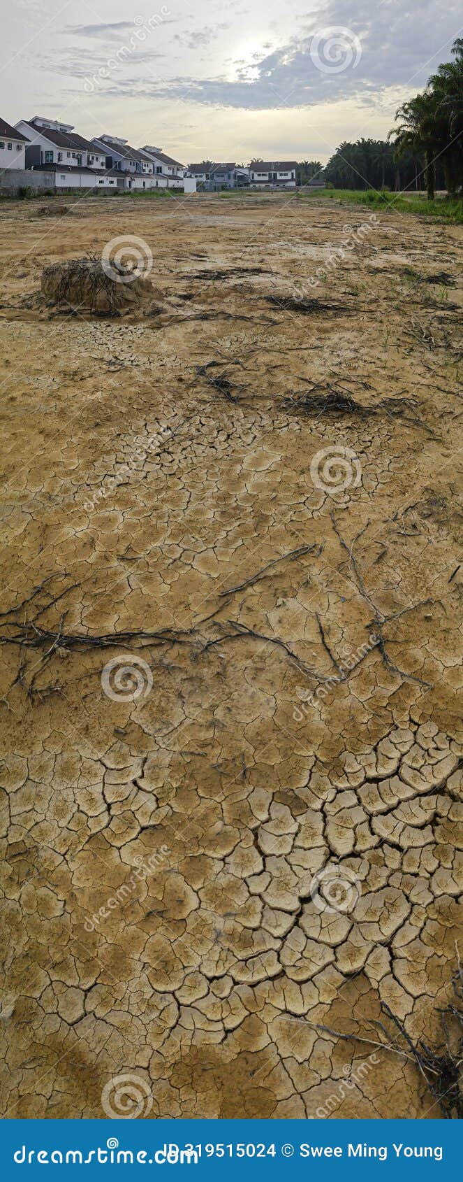 An Empty Plot of Land Scene Besides a Residential Row of Houses. Stock ...