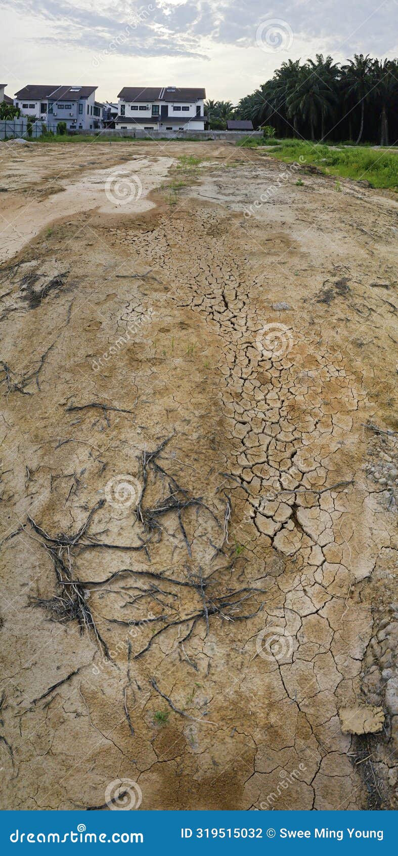 An Empty Plot of Land Scene Besides a Residential Row of Houses. Stock ...