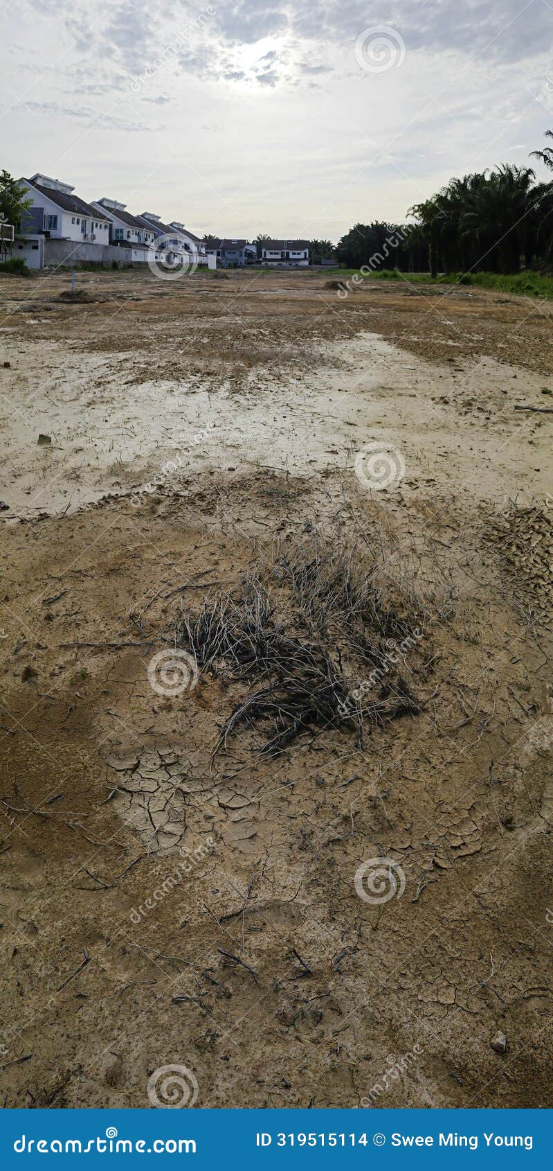 An Empty Plot of Land Scene Besides a Residential Row of Houses. Stock ... An Empty Plot of Land Scene Besides a Residential Row of Houses. Stock ...