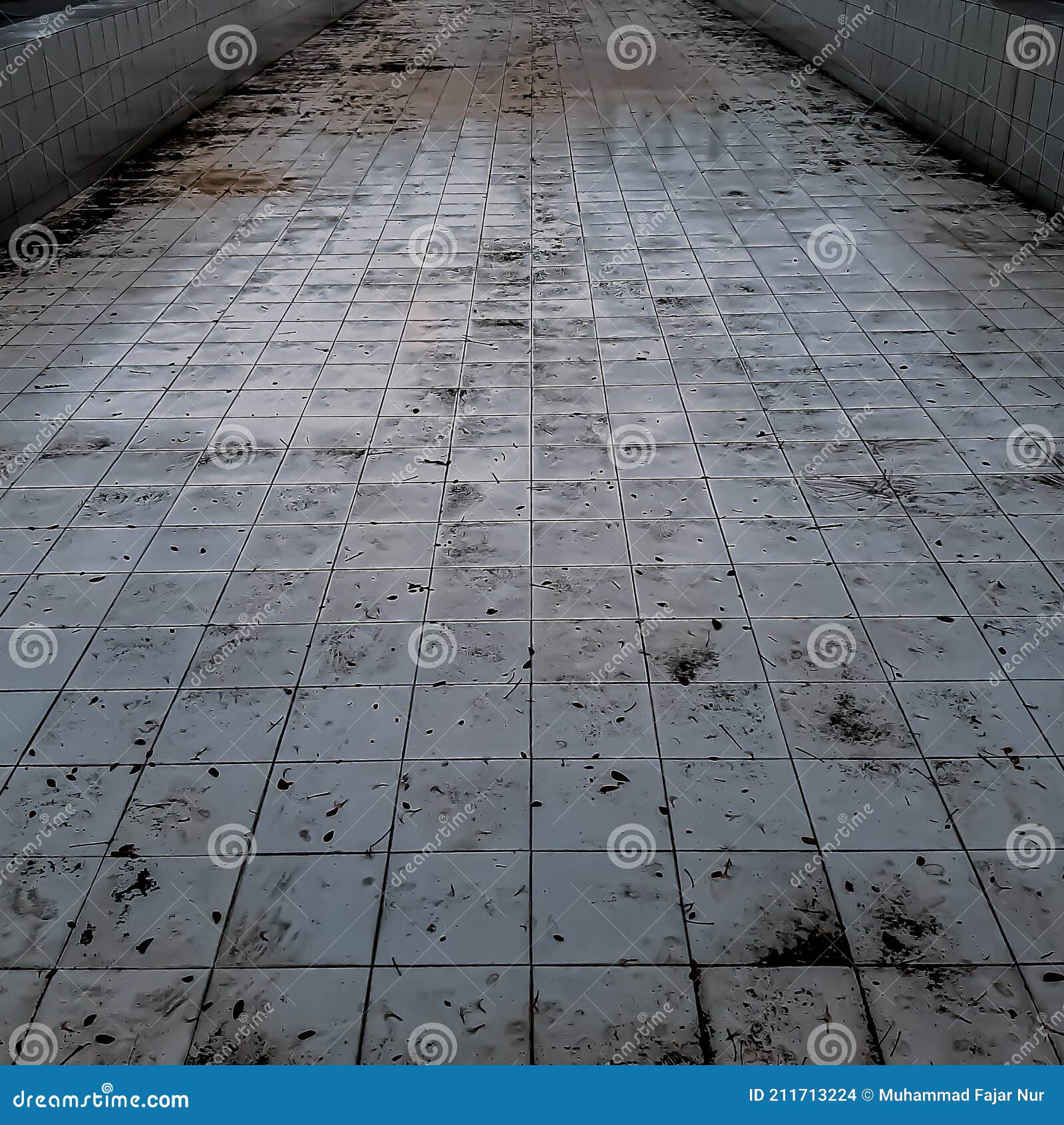 An image of an empty pond stock photo. Image of asphalt - 211713224