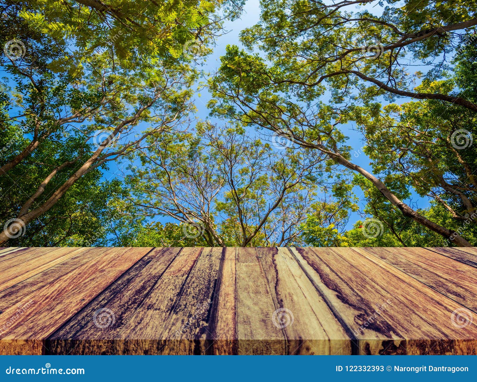 Wood Table and Green Forest in Background. Stock Image - Image of ...