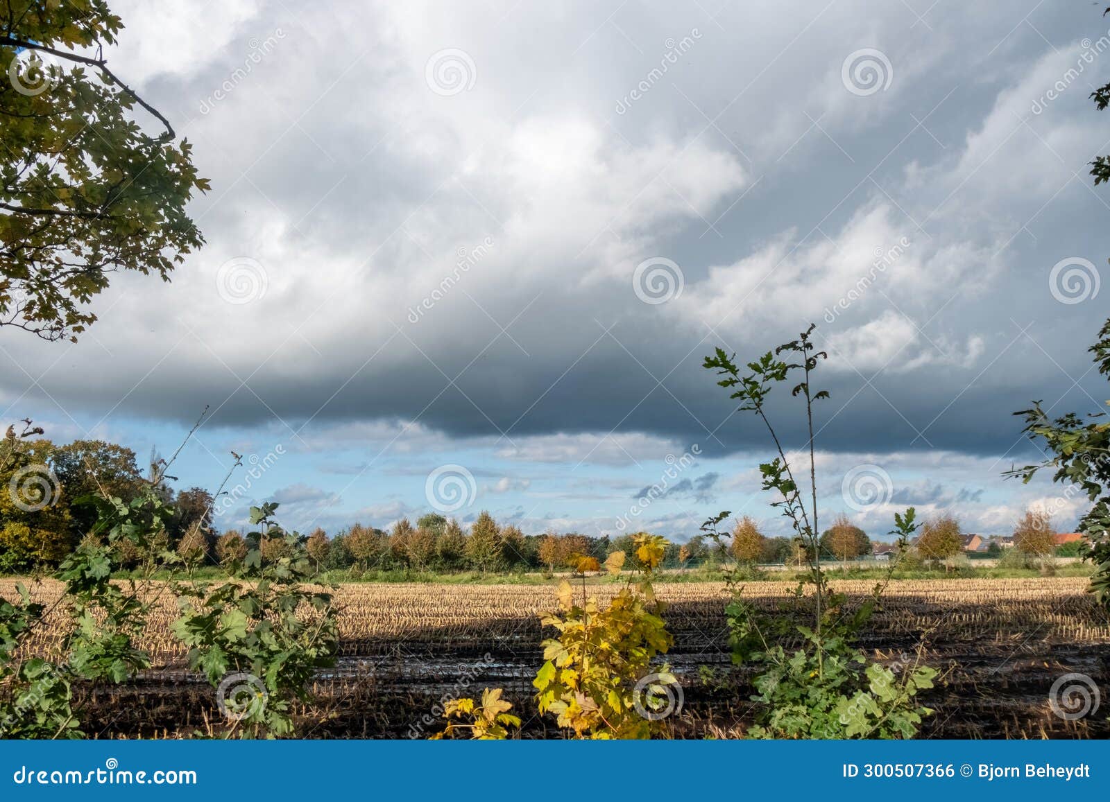 Approaching Storm Over Farmland Stock Photo - Image of regrowth ...