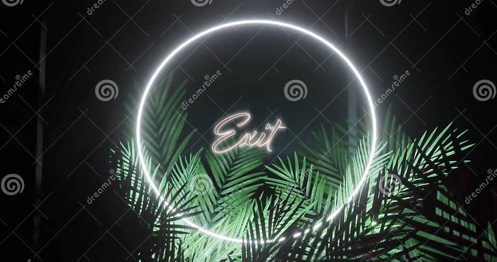 Image of Exit Text Over Neon Frame and Tropical Leaves on Black ...