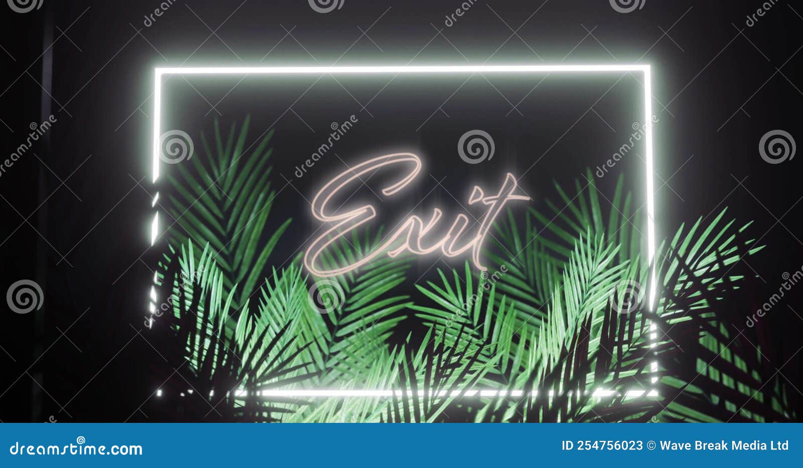 Image of Exit Text Over Neon Shape and Leaves on Black Background Stock ...