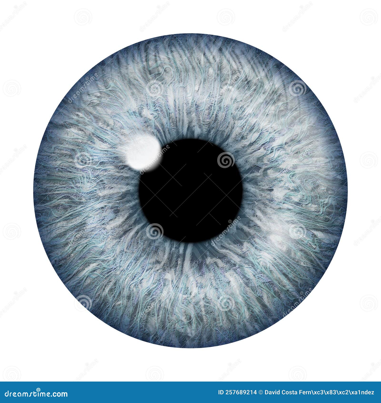 Realistic Image of an Eye. Iris, Cornea, Retina with Luminous Flash ...