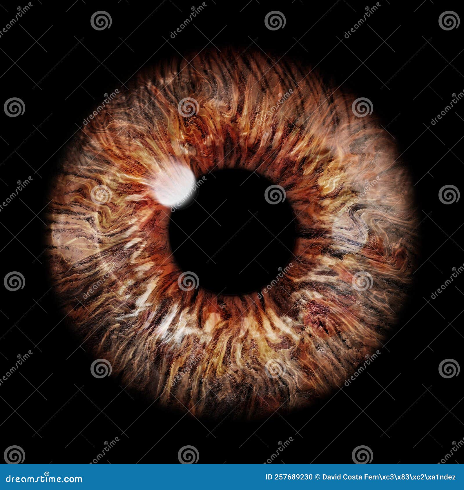 Realistic Image of an Eye. Iris, Cornea, Retina with Luminous Flash ...
