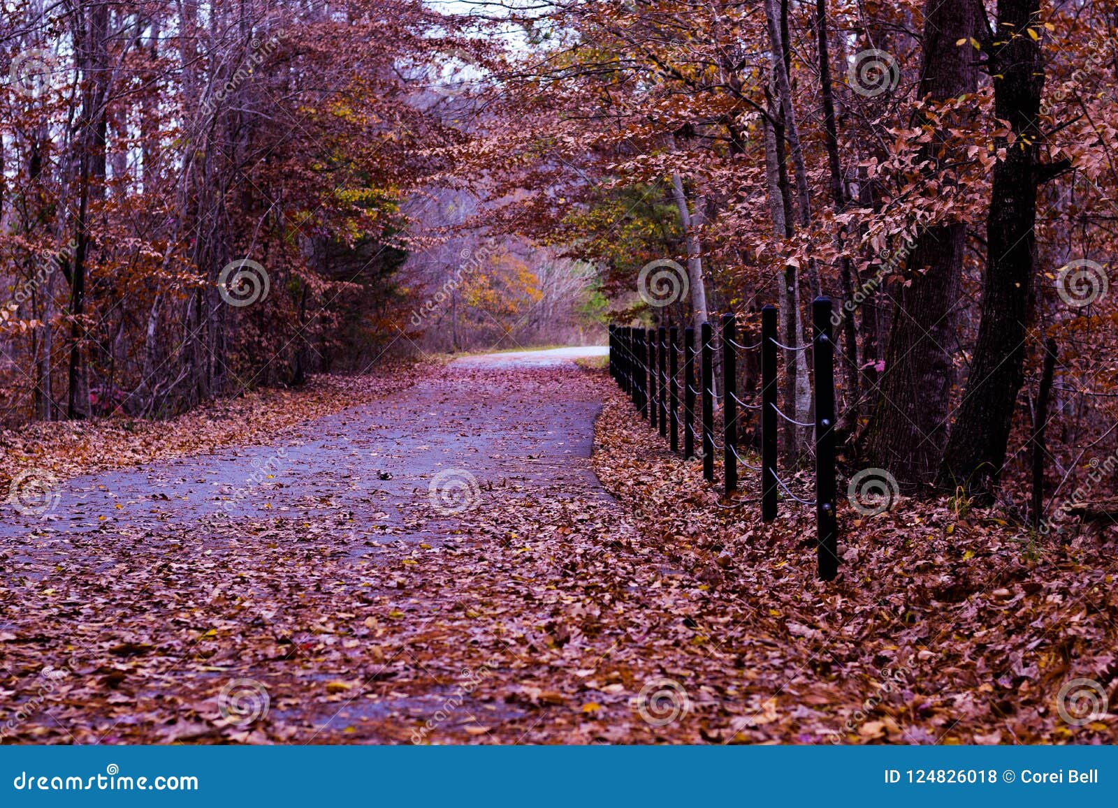 The Season of Fall is upon Us Stock Photo - Image of nature, falls ...