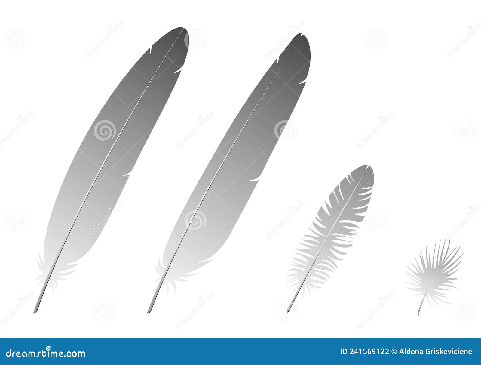 Image for Feathers Basic Parts Stock Illustration - Illustration of ...