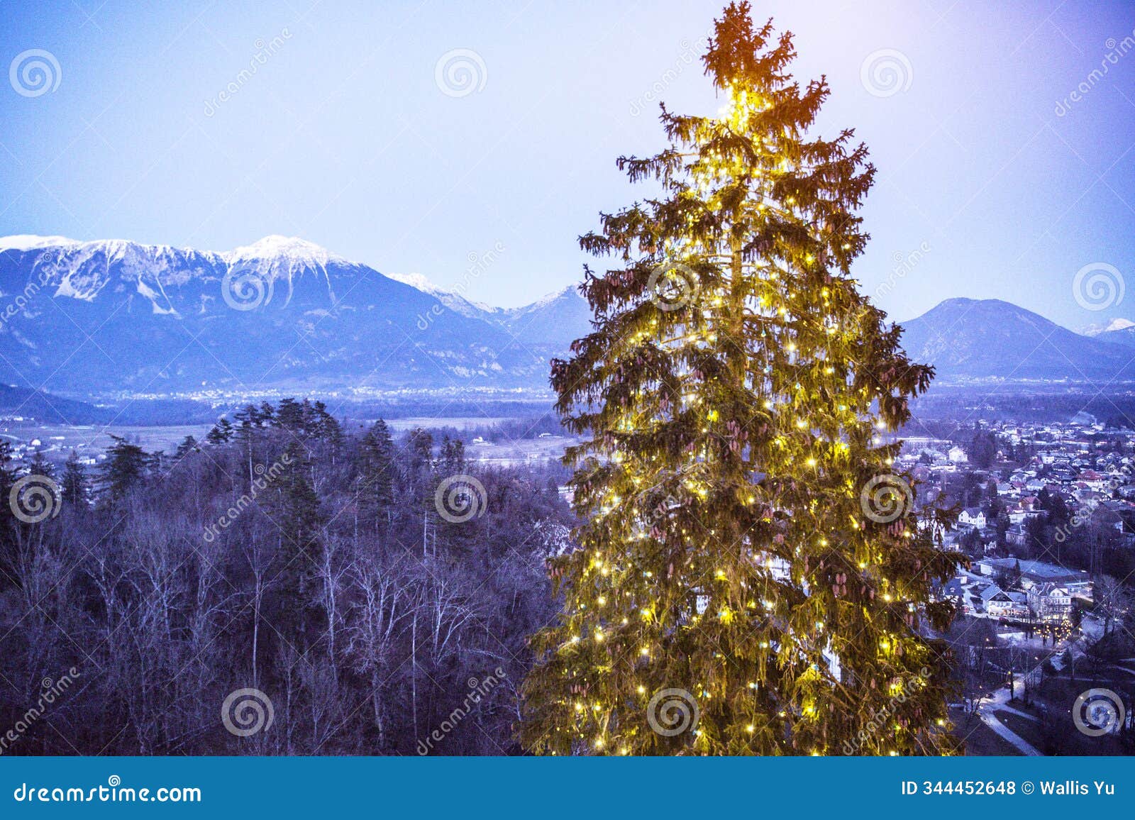 Illuminated Tree With Heart Shaped Lights On Christmas Markets In ...
