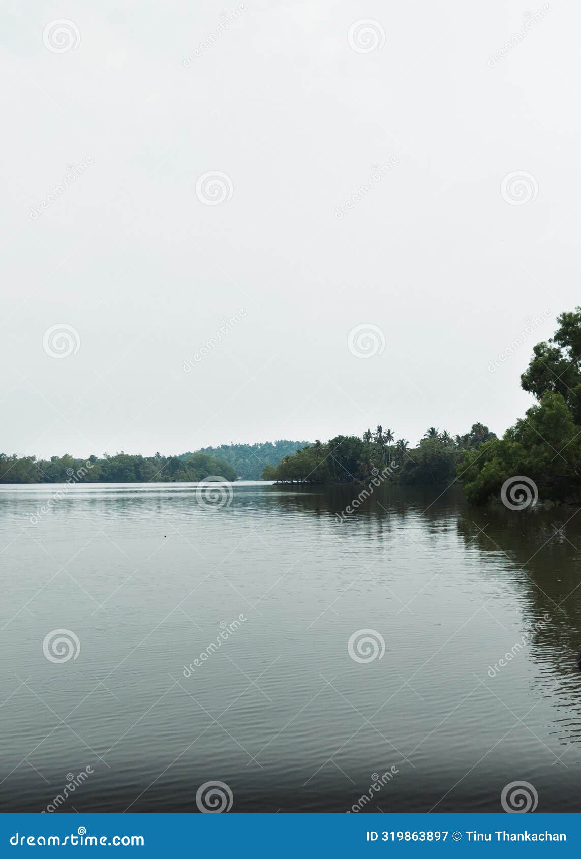 The Image Features a Body of Water Surrounded by Trees. Stock Image ...