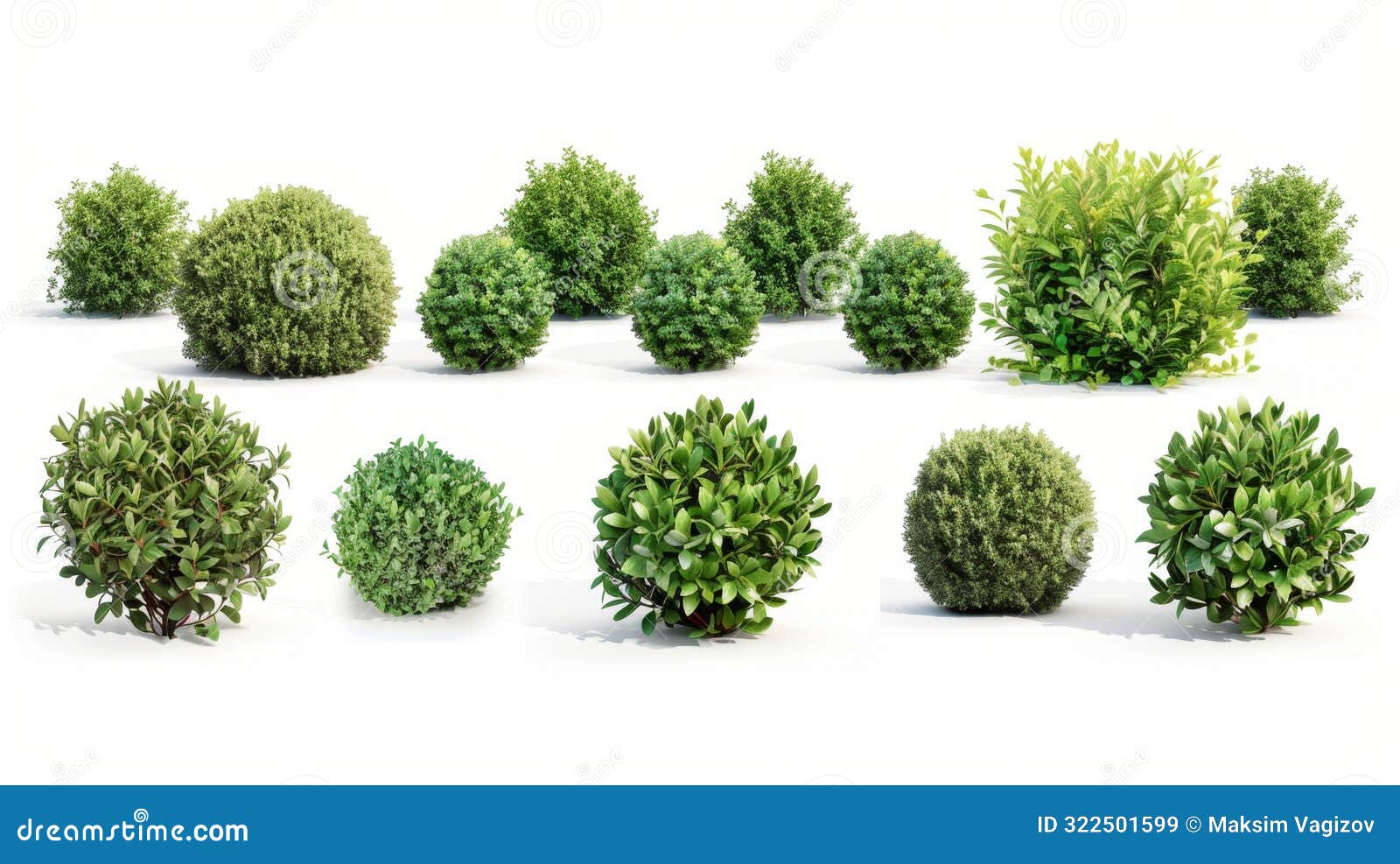 Various Types of Green Bushes Isolated on White Background, Generative ...