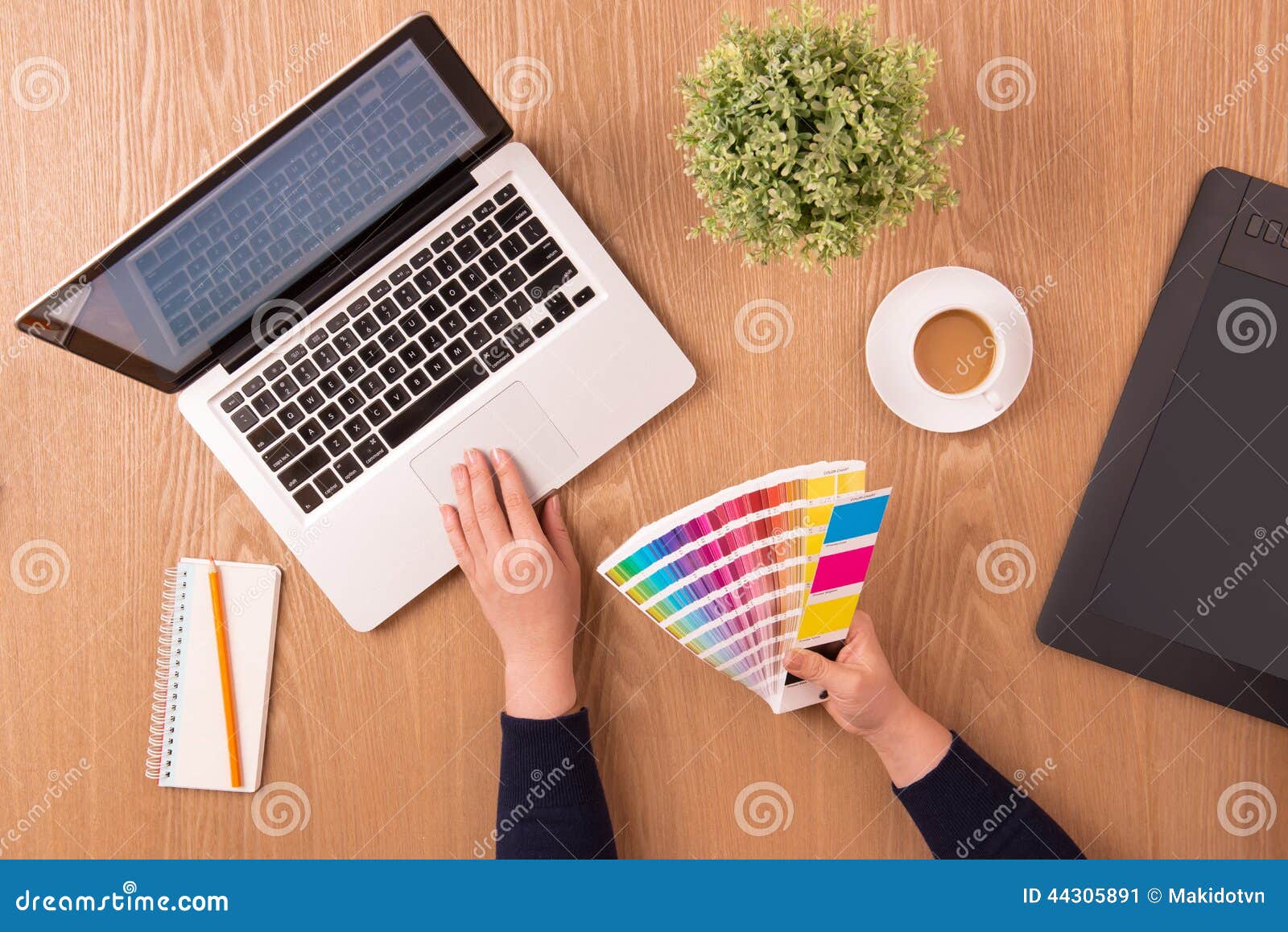 Image of Female Hands Using Color Swatches for Selection Stock Image ...