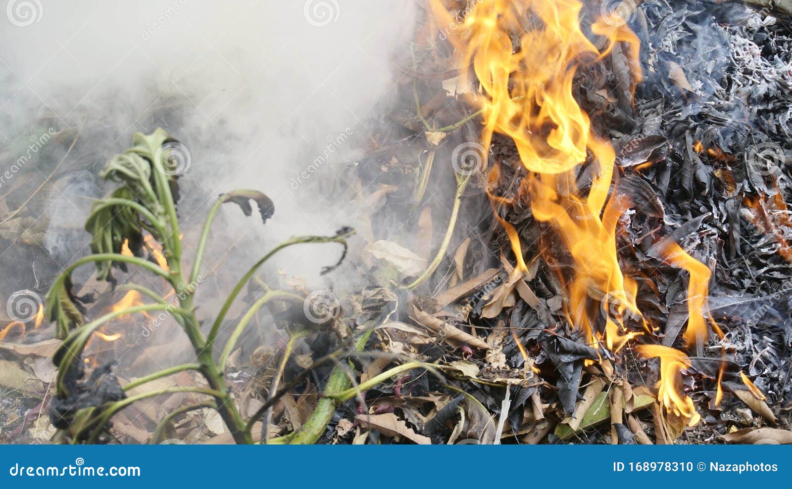 Image of Fire Burning and Smoke Stock Photo - Image of orange, black ...