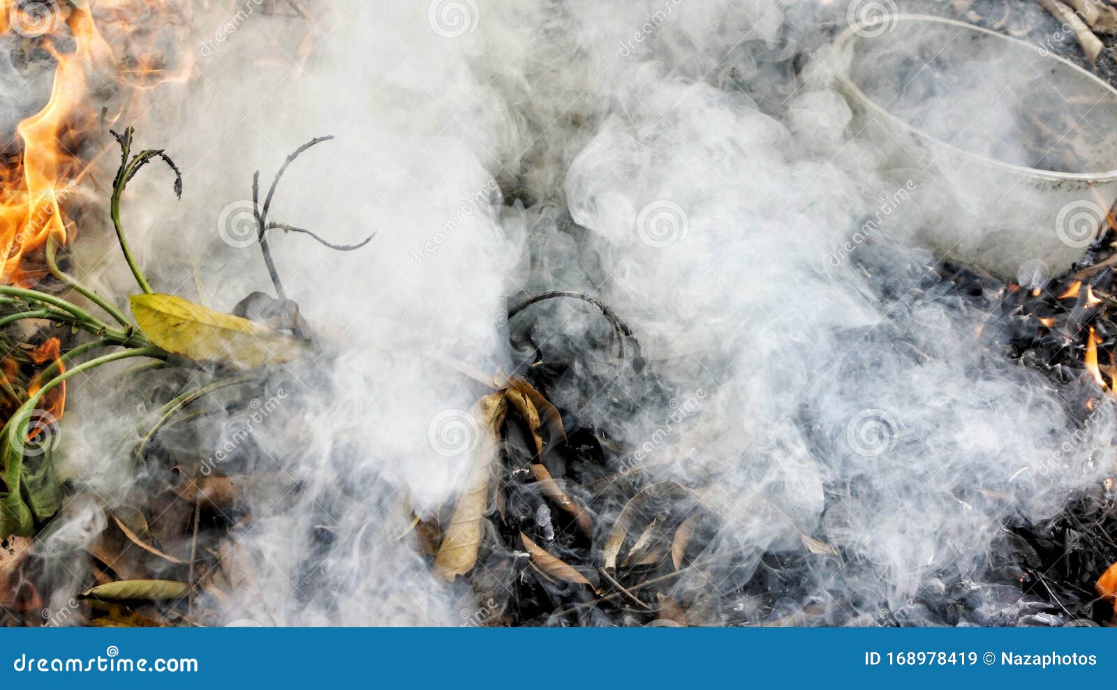 Image of Fire Burning and Smoke Stock Image - Image of cloud, glowing ...