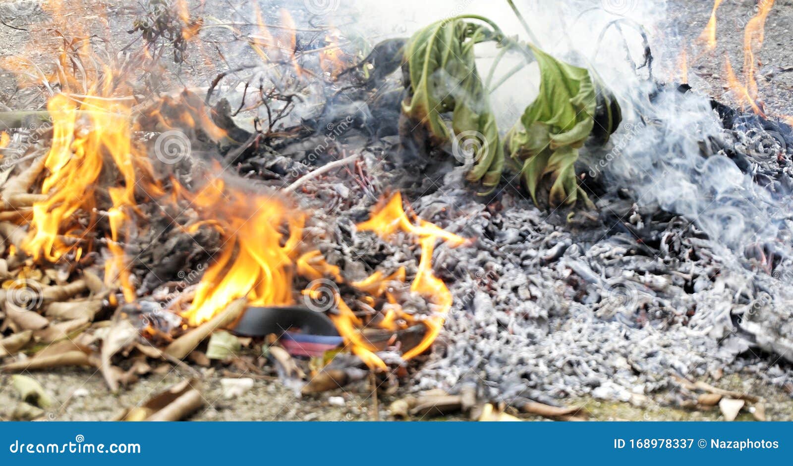 Image of Fire Burning and Smoke Stock Image - Image of night, glowing ...