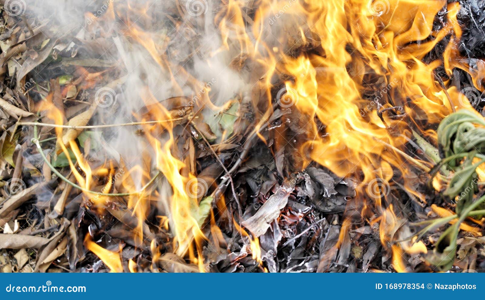 Image of Fire Burning and Smoke Stock Photo - Image of glowing, black ...