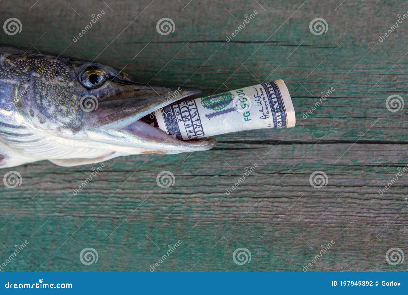 Image of Fish Money Banknote Stock Photo - Image of blue, buying: 197949892