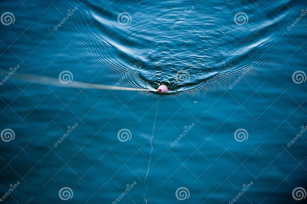 Image of a Fishing Bob in the Water Stock Image - Image of clean, clear ...
