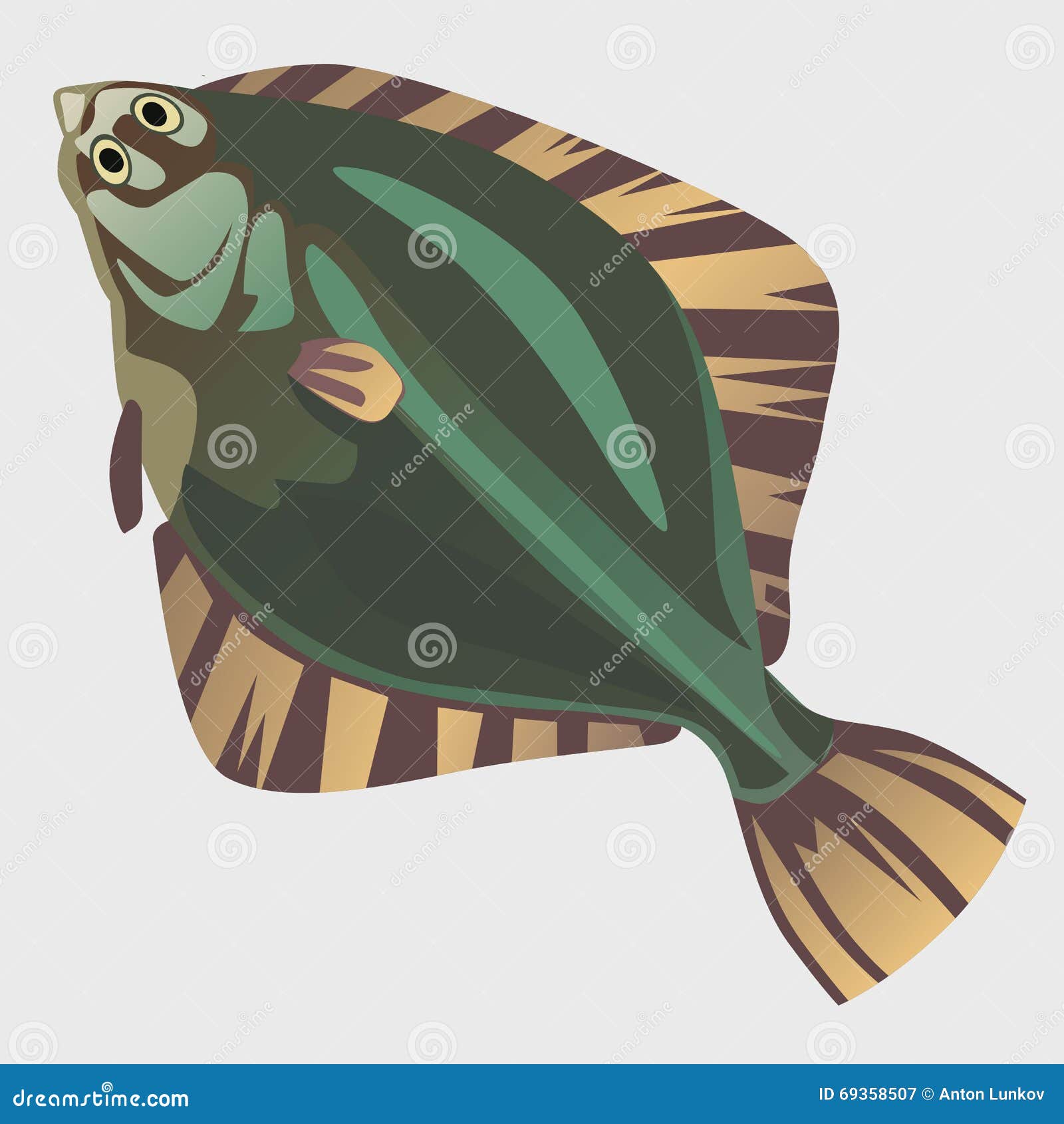 Image of Flatfish in the Flat Style Stock Vector - Illustration of ...