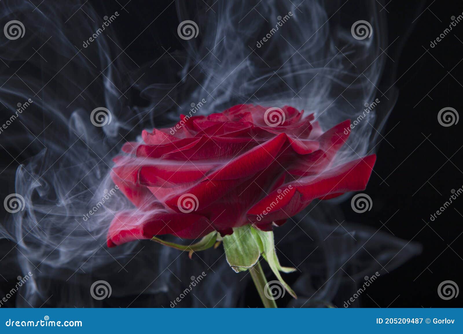 Image of Flower Smoke Dark Background Stock Image - Image of eight ...