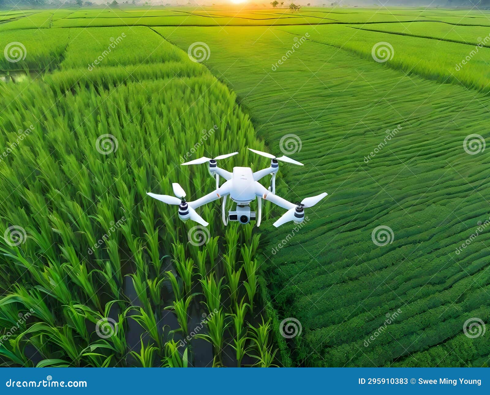Image of Flying Drone Above the Farmland Field. Stock Illustration ...
