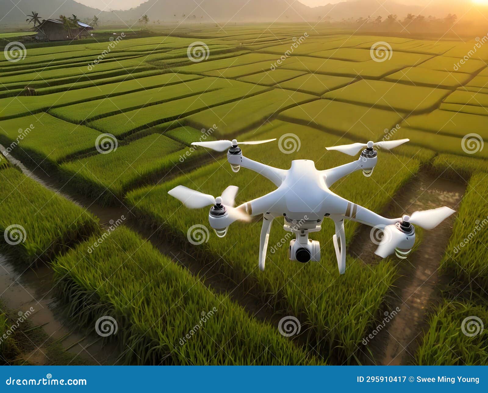 Image of Flying Drone Above the Farmland Field. Stock Illustration ...