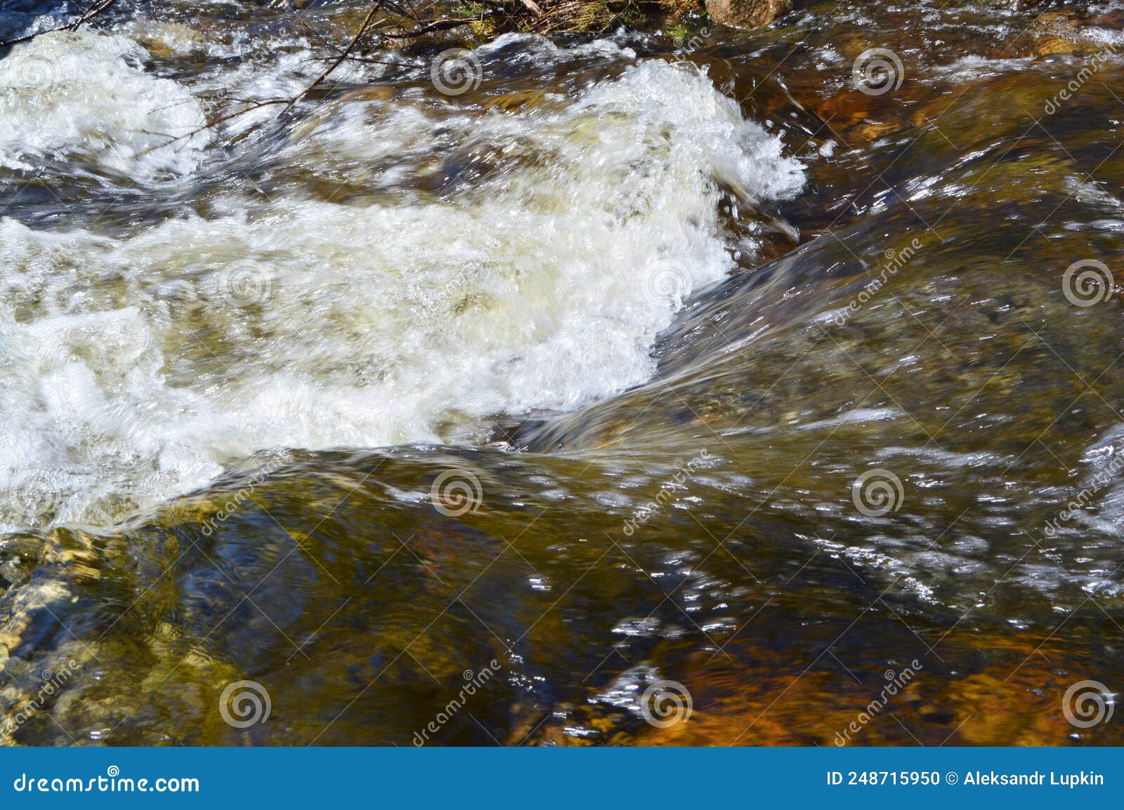Forest stream in spring stock photo. Image of 2022russia - 248715950