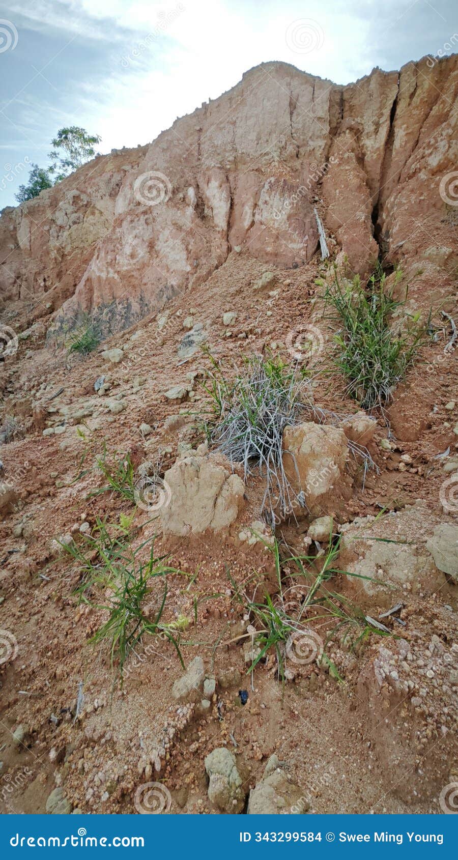 Formation Scene Around the Soil Texture and Pattern of the Limestone ...