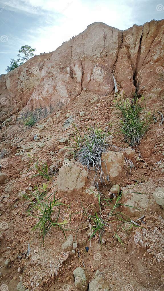 Formation Scene Around the Soil Texture and Pattern of the Limestone ...