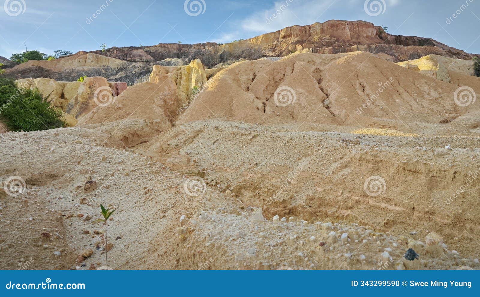 Formation Scene Around the Soil Texture and Pattern of the Limestone ...