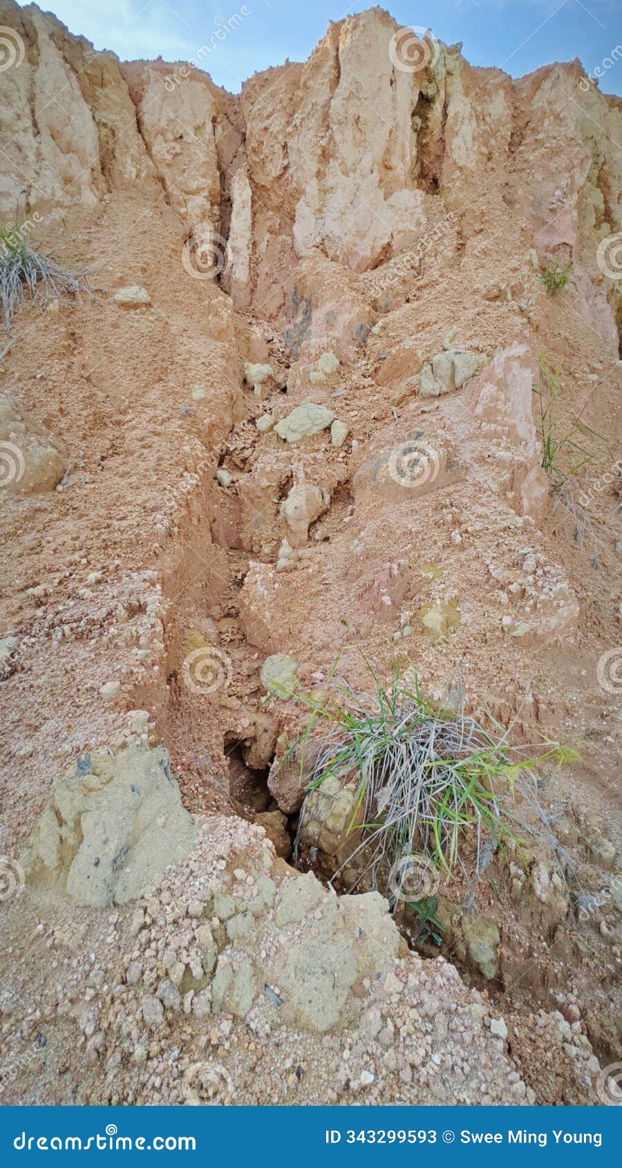 Formation Scene Around the Soil Texture and Pattern of the Limestone ...