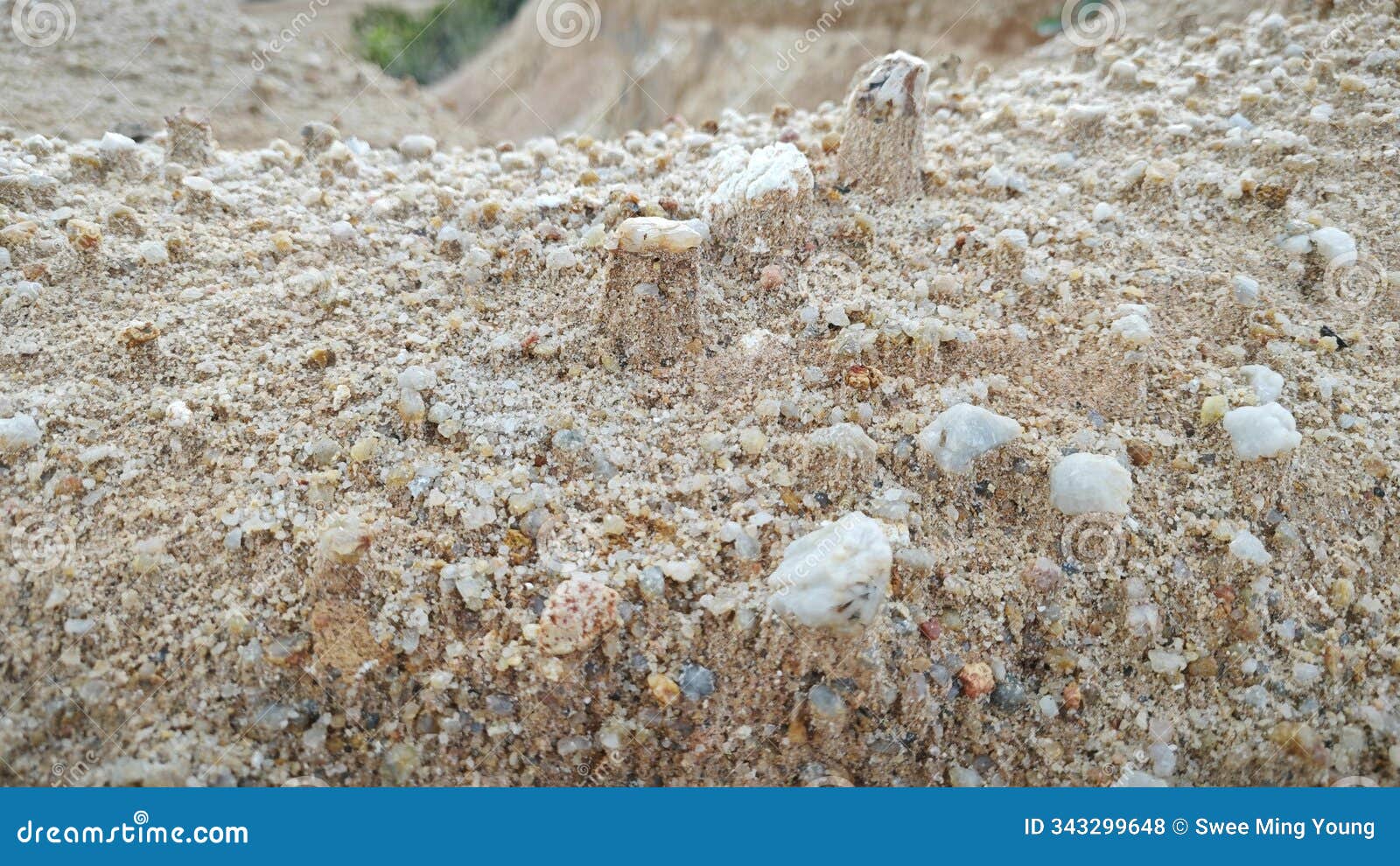 Formation Scene Around the Soil Texture and Pattern of the Limestone ...