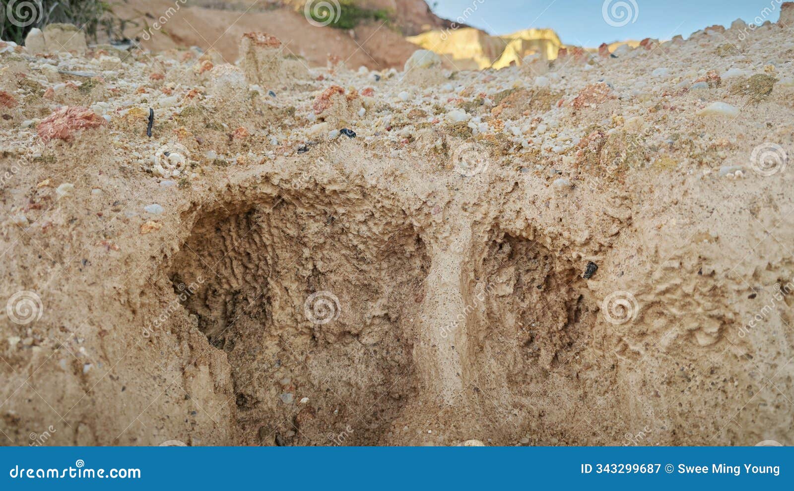 Formation Scene Around the Soil Texture and Pattern of the Limestone ...
