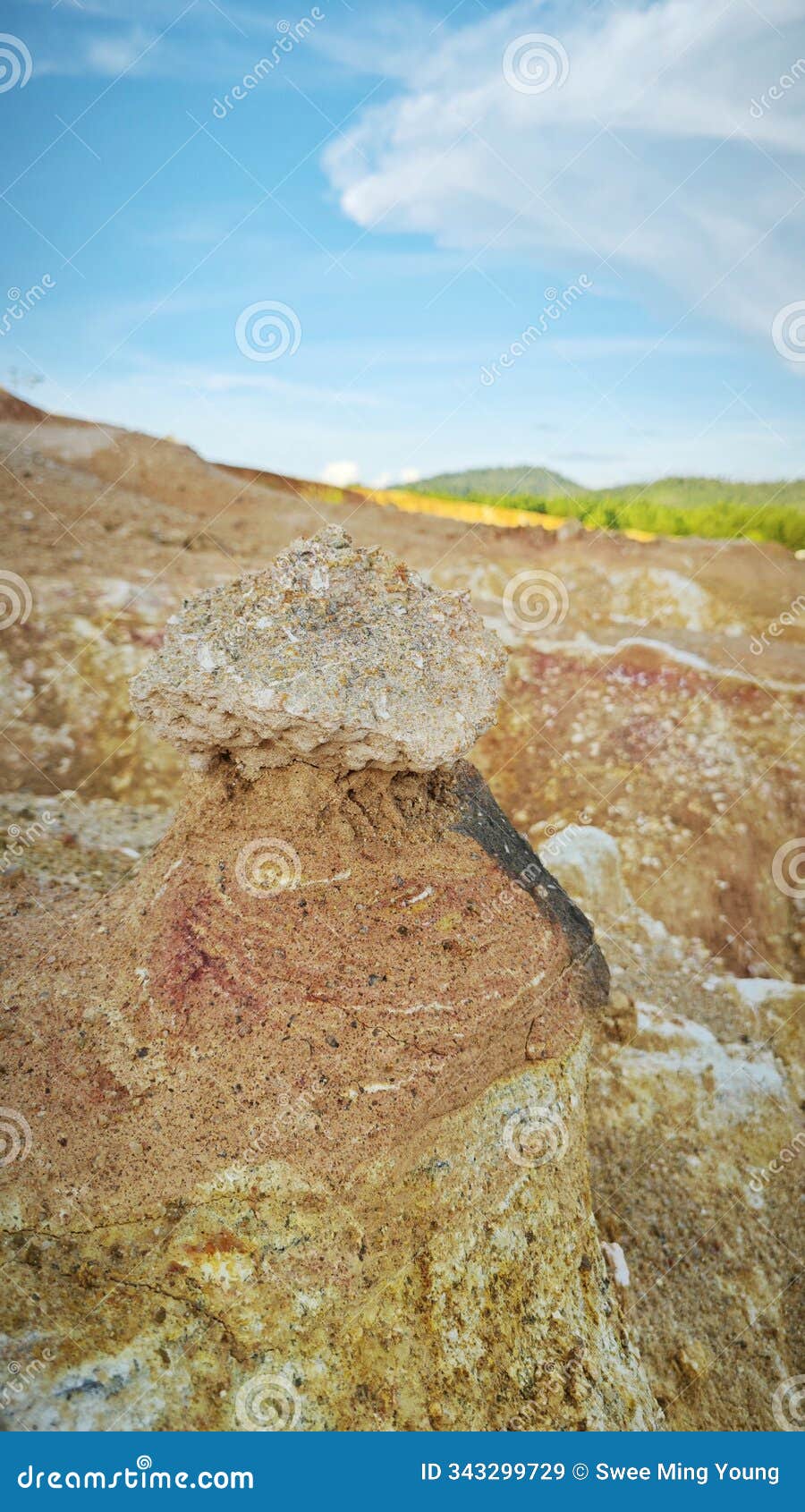 Formation Scene Around the Soil Texture and Pattern of the Limestone ...