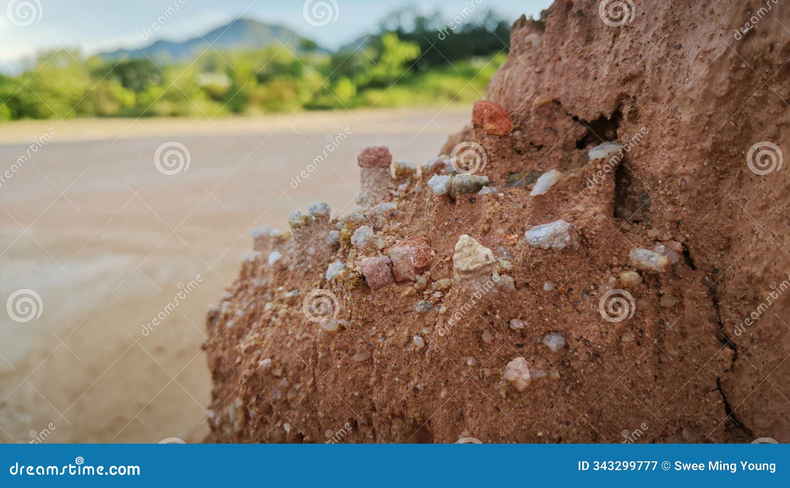 Formation Scene Around the Soil Texture and Pattern of the Limestone ...