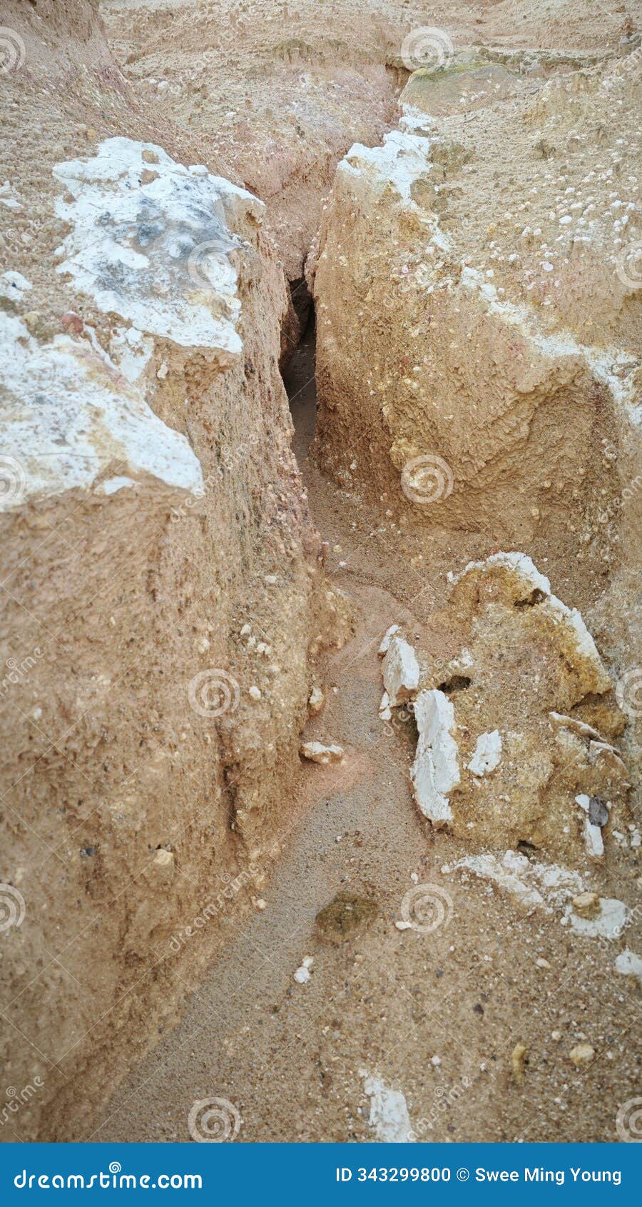 Formation Scene Around the Soil Texture and Pattern of the Limestone ...