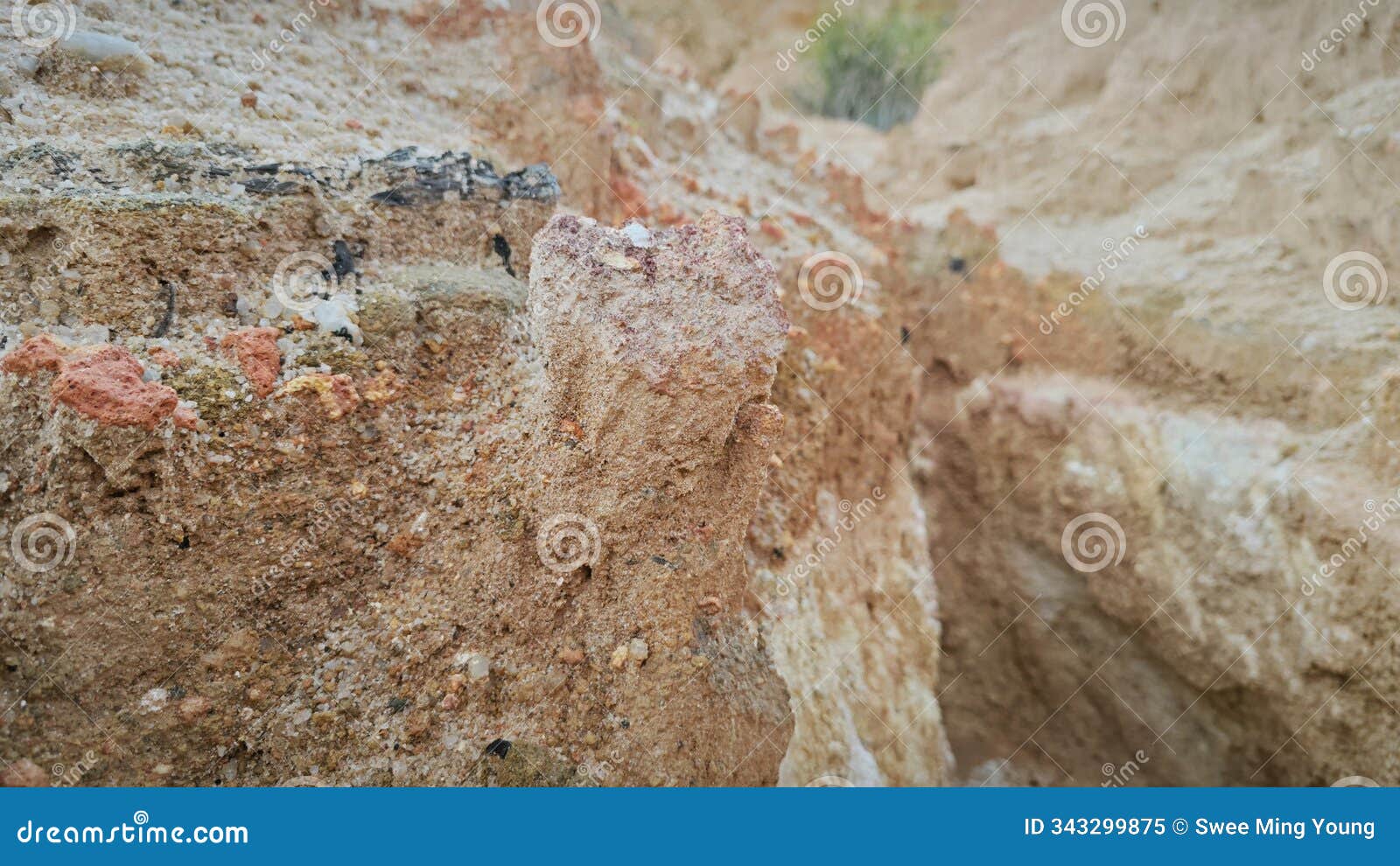 Formation Scene Around the Soil Texture and Pattern of the Limestone ...