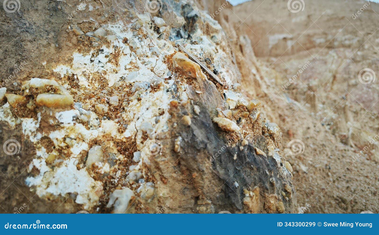 Formation Scene Around the Soil Texture and Pattern of the Limestone ...