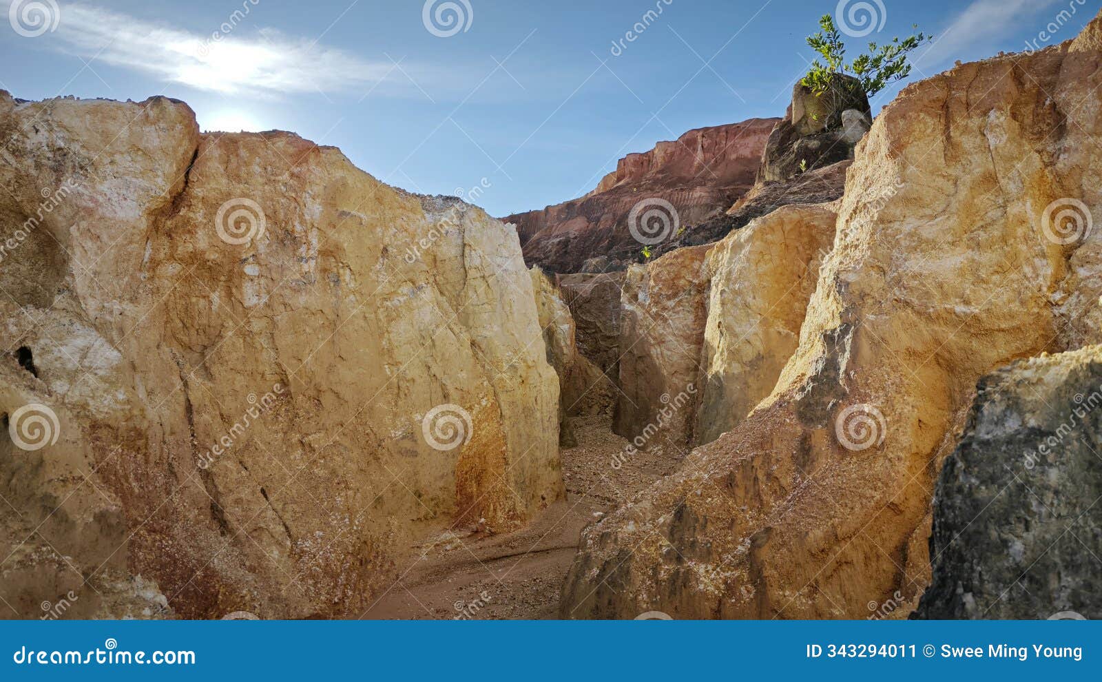 Formation Scene Around the Soil Texture and Pattern of the Limestone ...