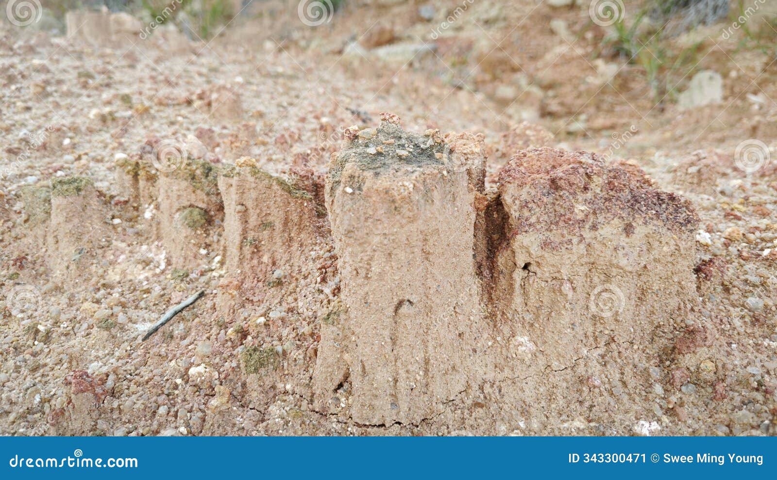Formation Scene Around the Soil Texture and Pattern of the Limestone ...