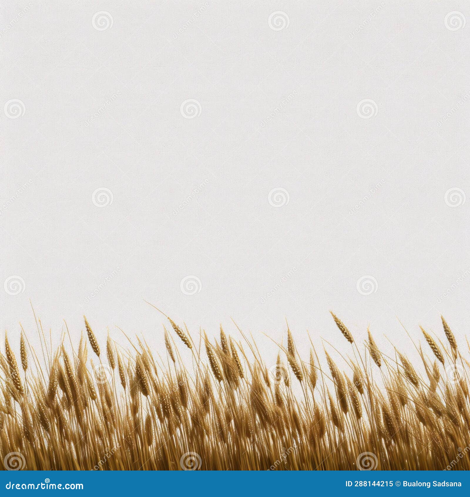 Free Space for Text in the Rice Pattern Wallpaper. Stock Illustration ...