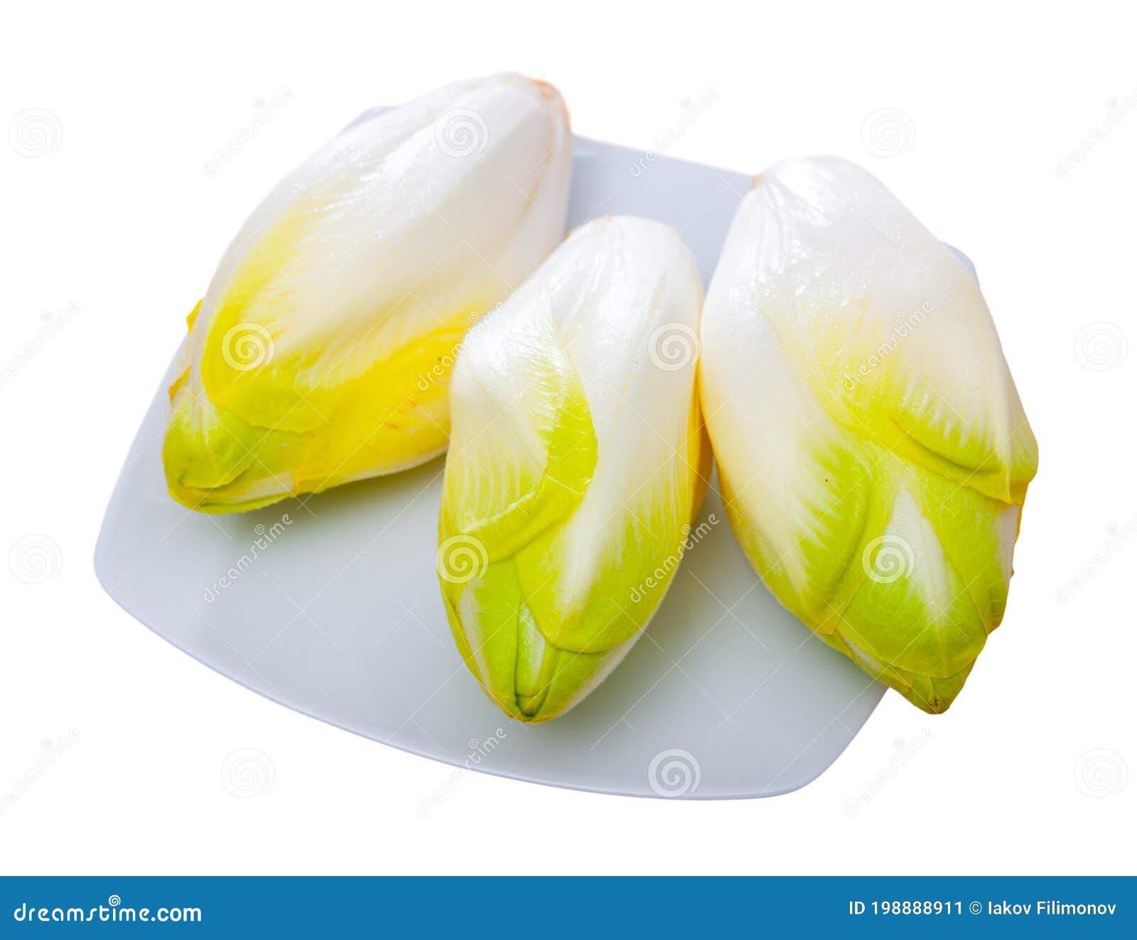 Image of fresh raw endive stock image. Image of organic - 198888911