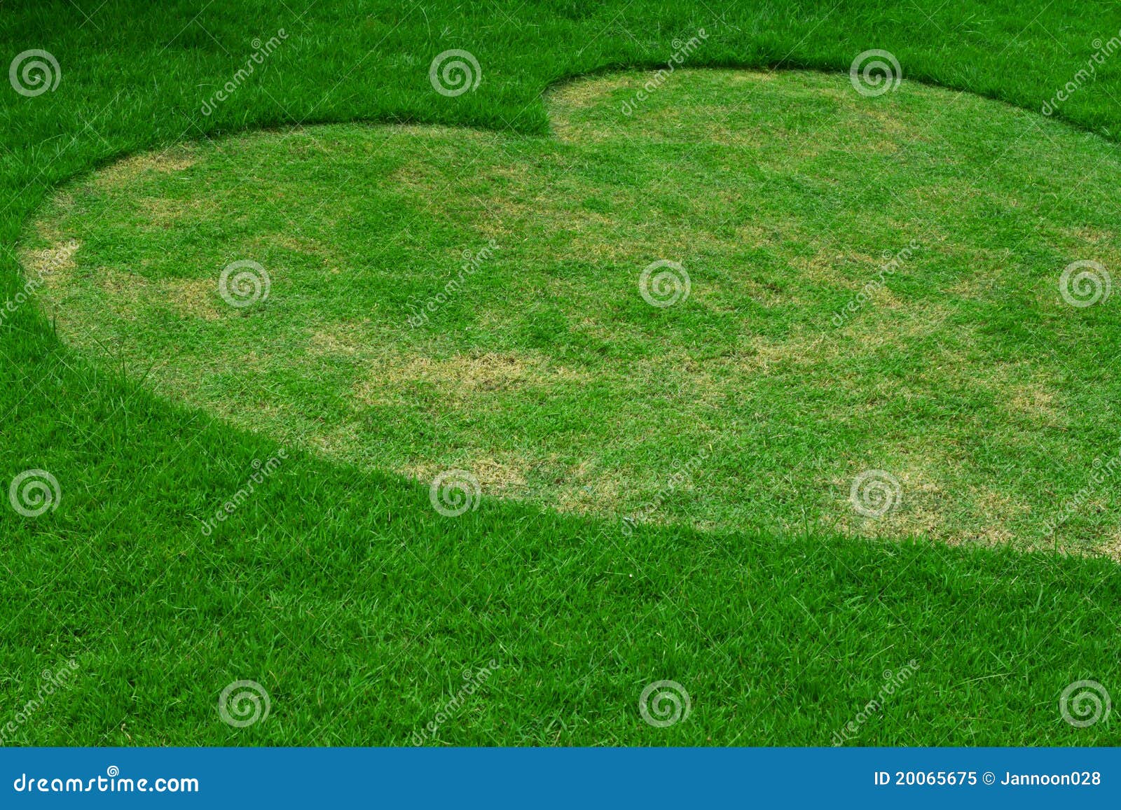 Image of Fresh Spring Green Grass, Heart Shape. Stock Image - Image of ...