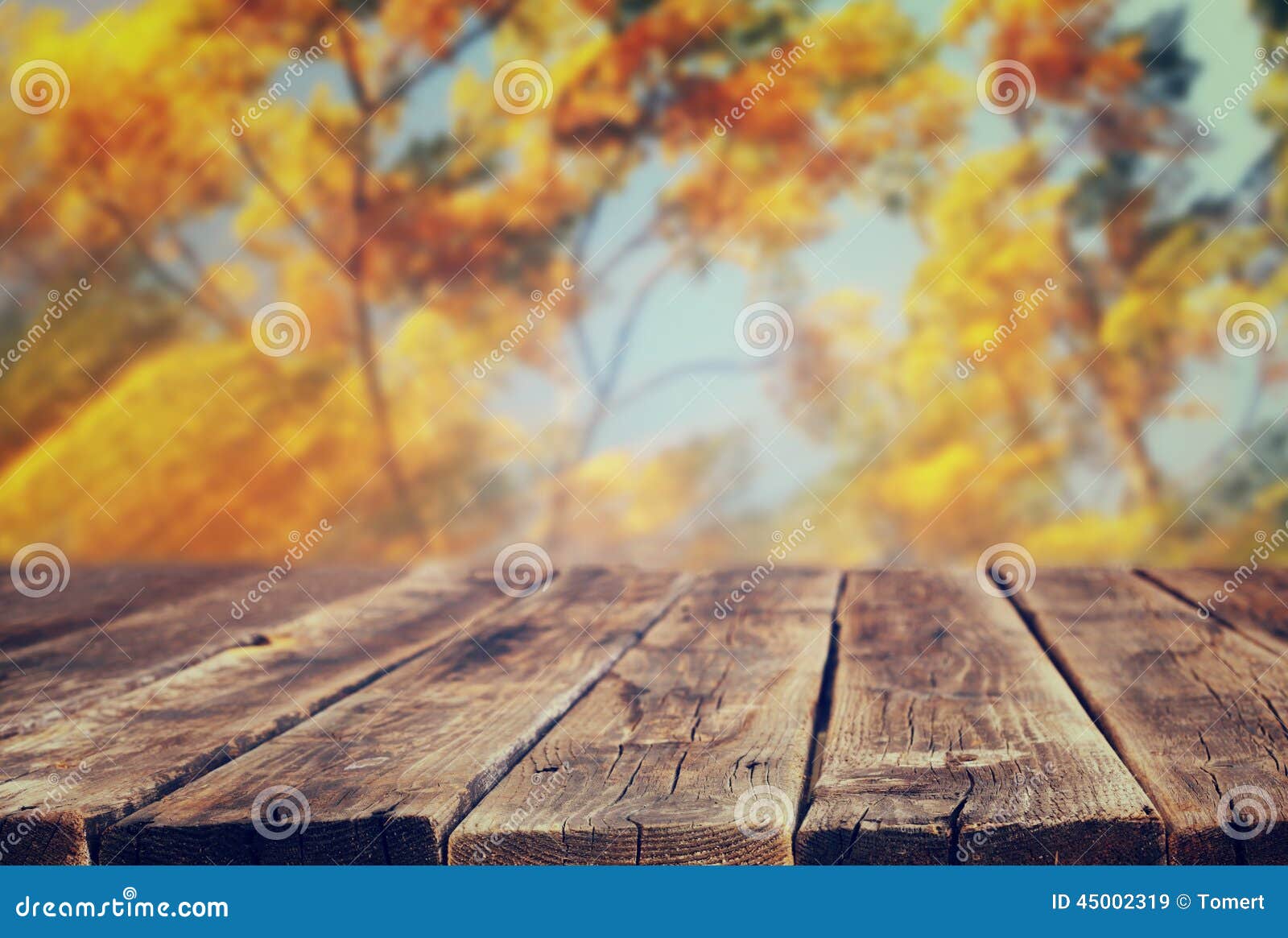 Nature Wood Texture Seamless Background, Timber Battens Stock Photo ...