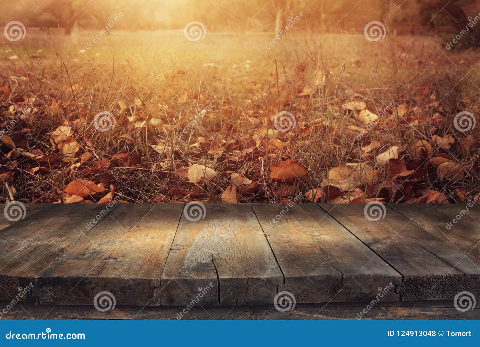 Image of Front Rustic Wood Boards and Background of Fall Leaves in ...