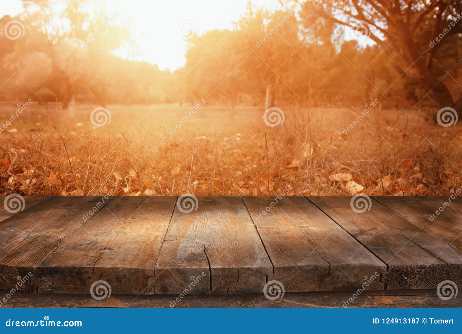 Image of Front Rustic Wood Boards and Background of Fall Leaves in ...