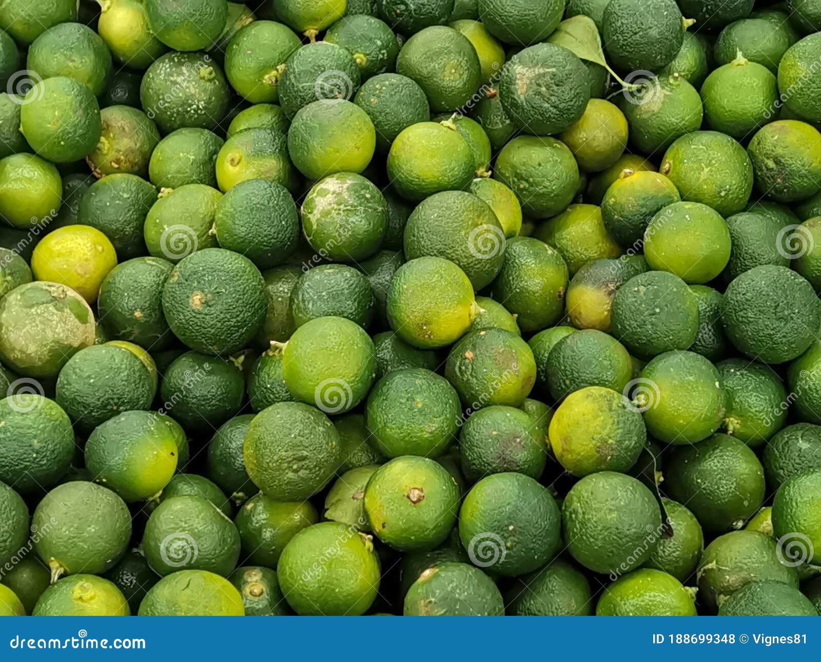 Calamansi lime stock photo. Image of minerals, citrus - 188699348